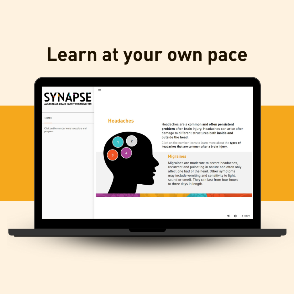 Training - Synapse Resource Hub