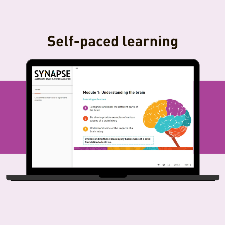 Synapse Brain Injury Training - Understanding the Brain (Module 1 ...
